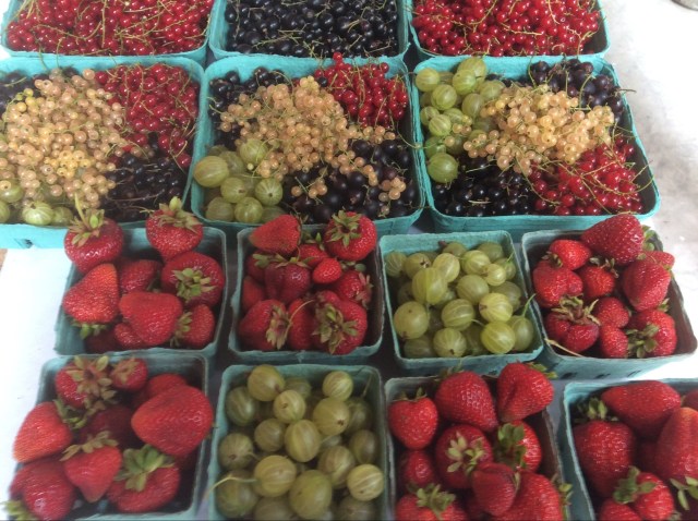 Berry Season is Here! – Silver Rill Berry Farm